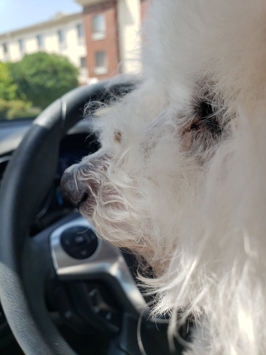 Keys Please – The Dee Zone