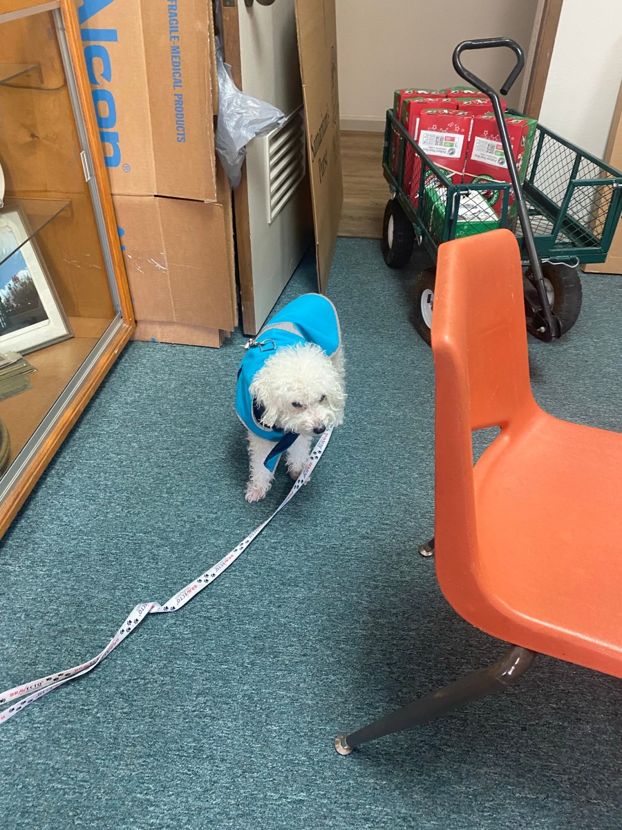 Saturday Adventure – The Dee Zone